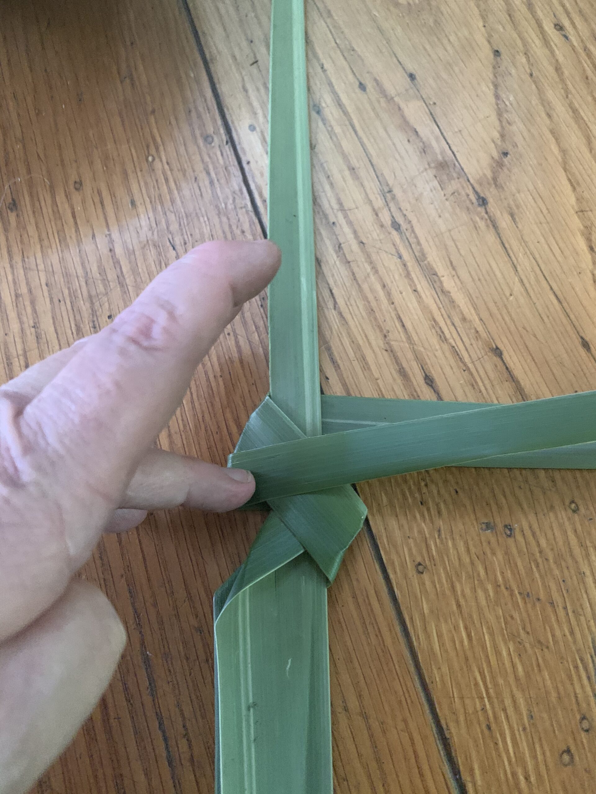 NZ Flax diagonal sword @ Sun-Lit